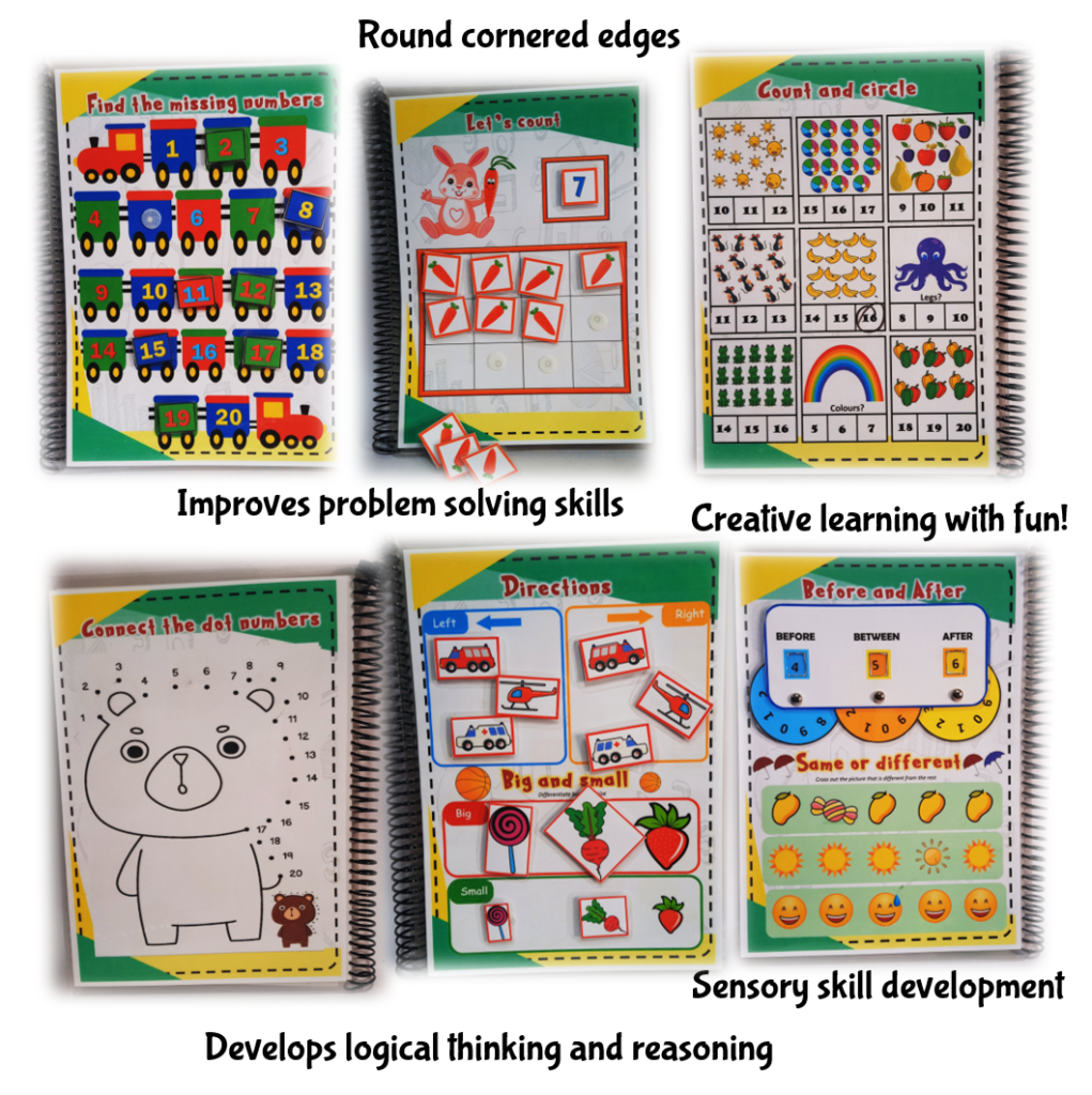 Busy Book – Sorting By Function Feature Class – Special Supplies
