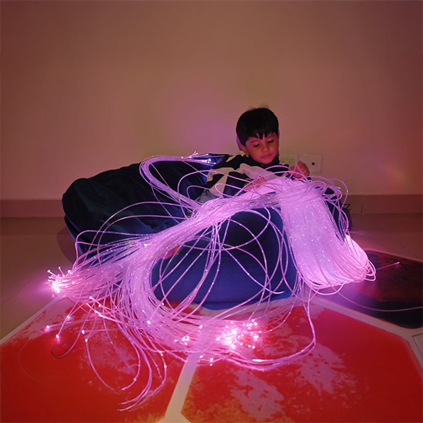 Sensory Fiber Optic Set with Jacket – 200 Points, 2 Meter Long ...